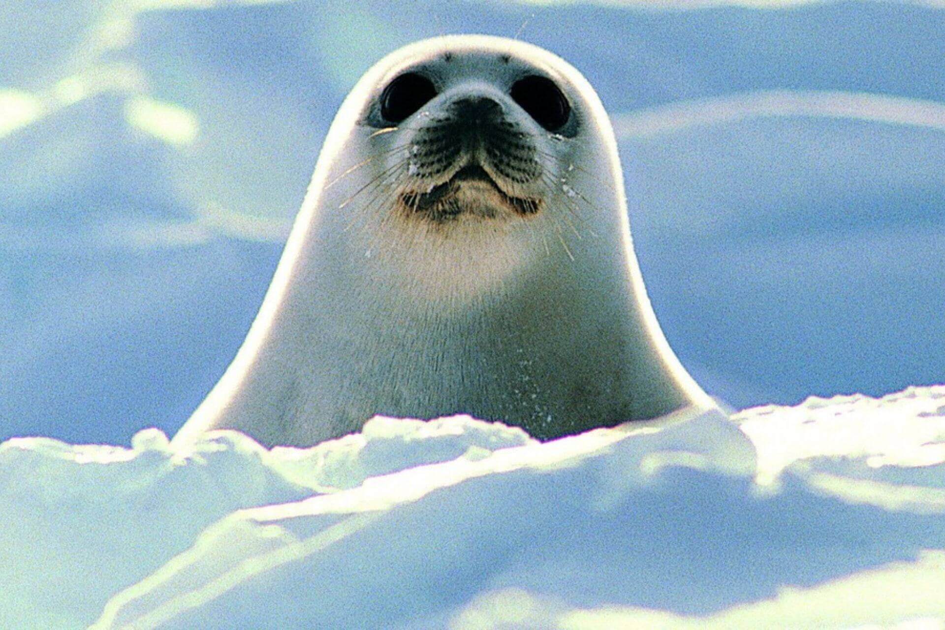 How To Install Mariadb On Ubuntu And Connect Ruby On Rails