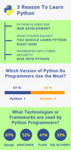 Pros and Cons of Python: A Definitive Python Web Development Guide