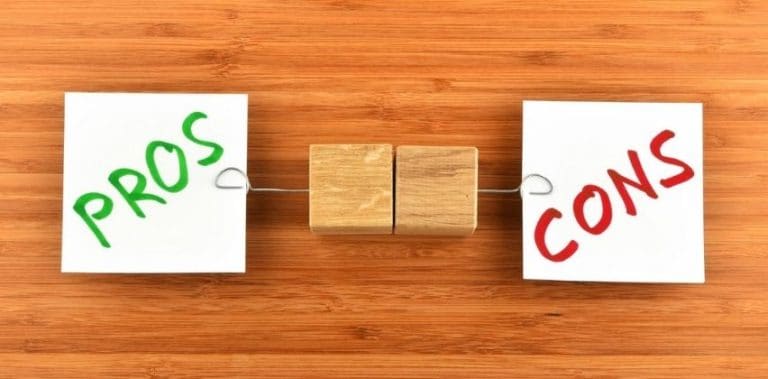 Pros and Cons of .NET Application Development - BoTree Technologies Pros and Cons of .NET Application Development - BoTree Technologies